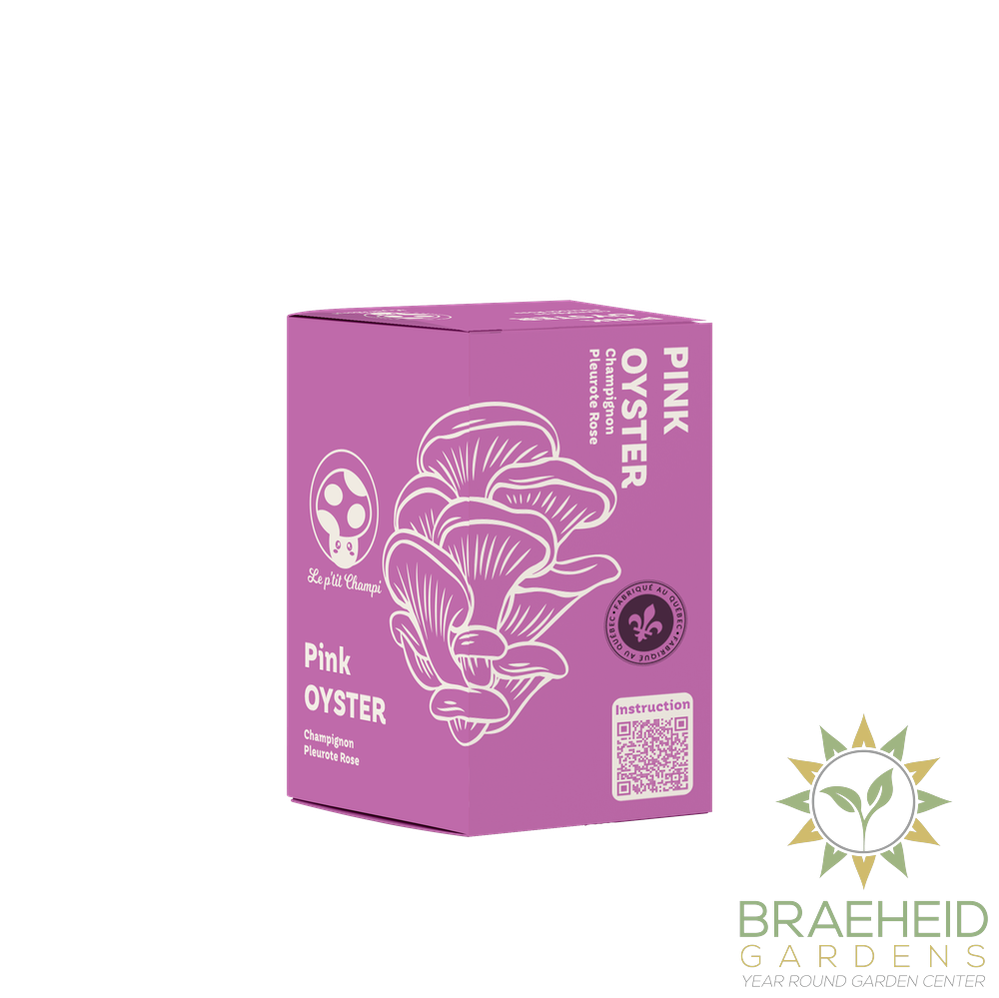 Pink Oyster Mushroom Kit – Braeheid Gardens Ltd.