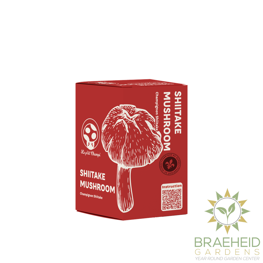 Shiitake Mushroom Kit – Braeheid Gardens Ltd.