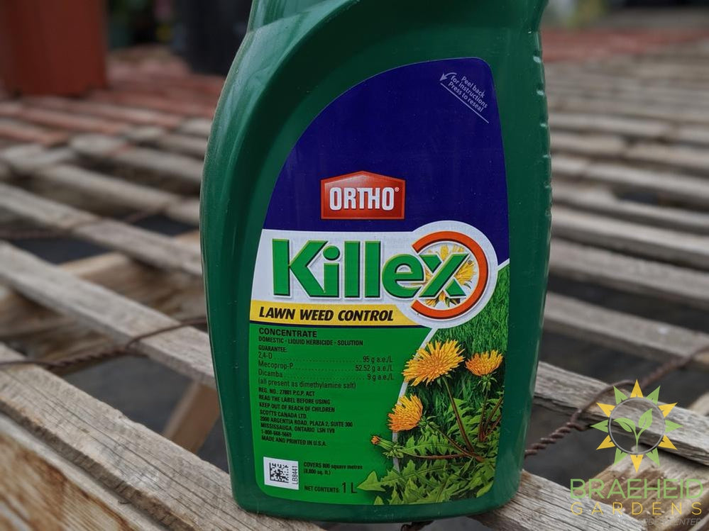 ORTHO Killex Lawn Weed Killer Concentrate – Braeheid Gardens Ltd.