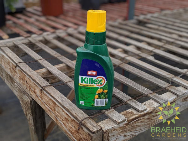 ORTHO Killex Lawn Weed Killer Concentrate – Braeheid Gardens Ltd.