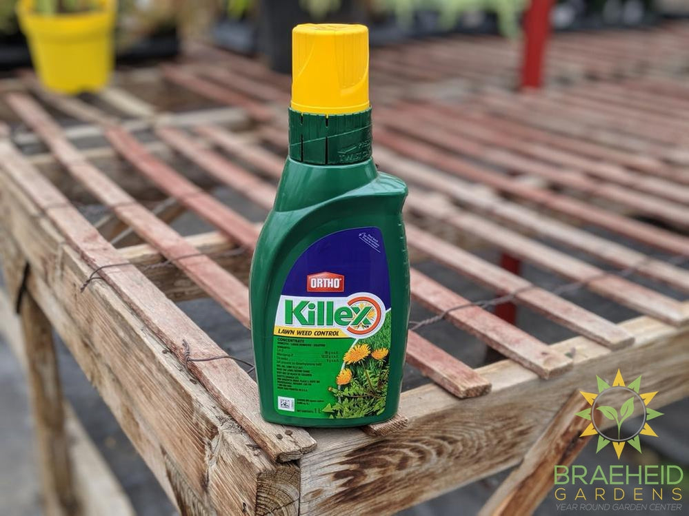 ORTHO Killex Lawn Weed Killer Concentrate – Braeheid Gardens Ltd.